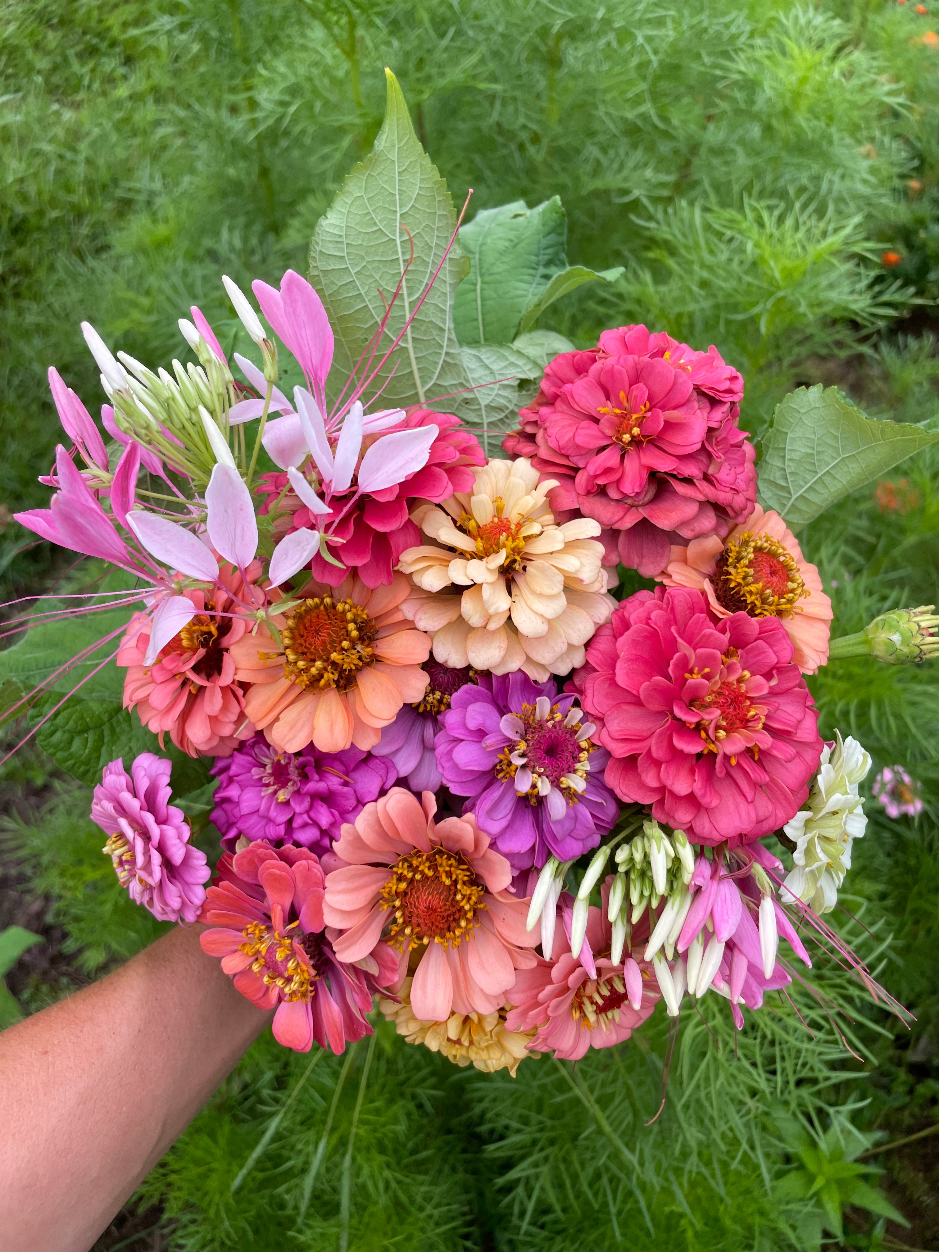 Bouquet Subscriptions – Fields for Ellie Flower & Farm Company