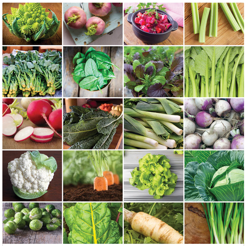 Cool Season Vegetable Crops – Page 2 – Fields for Ellie Flower & Farm ...